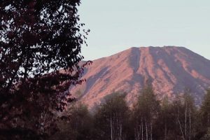 真狩焚き火キャンプ場 - TAKIBI Camp