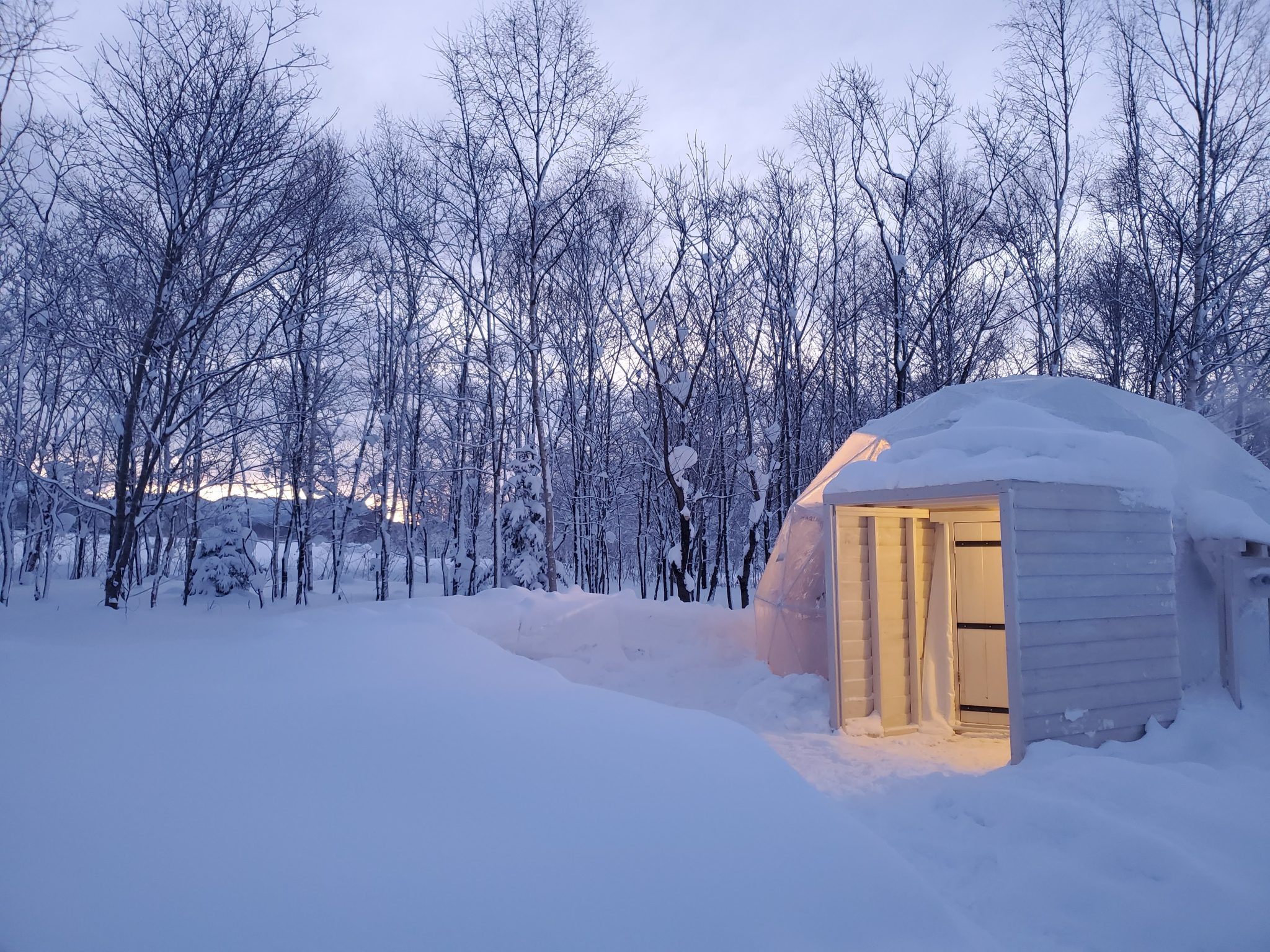真狩焚き火キャンプ場 - TAKIBI Camp